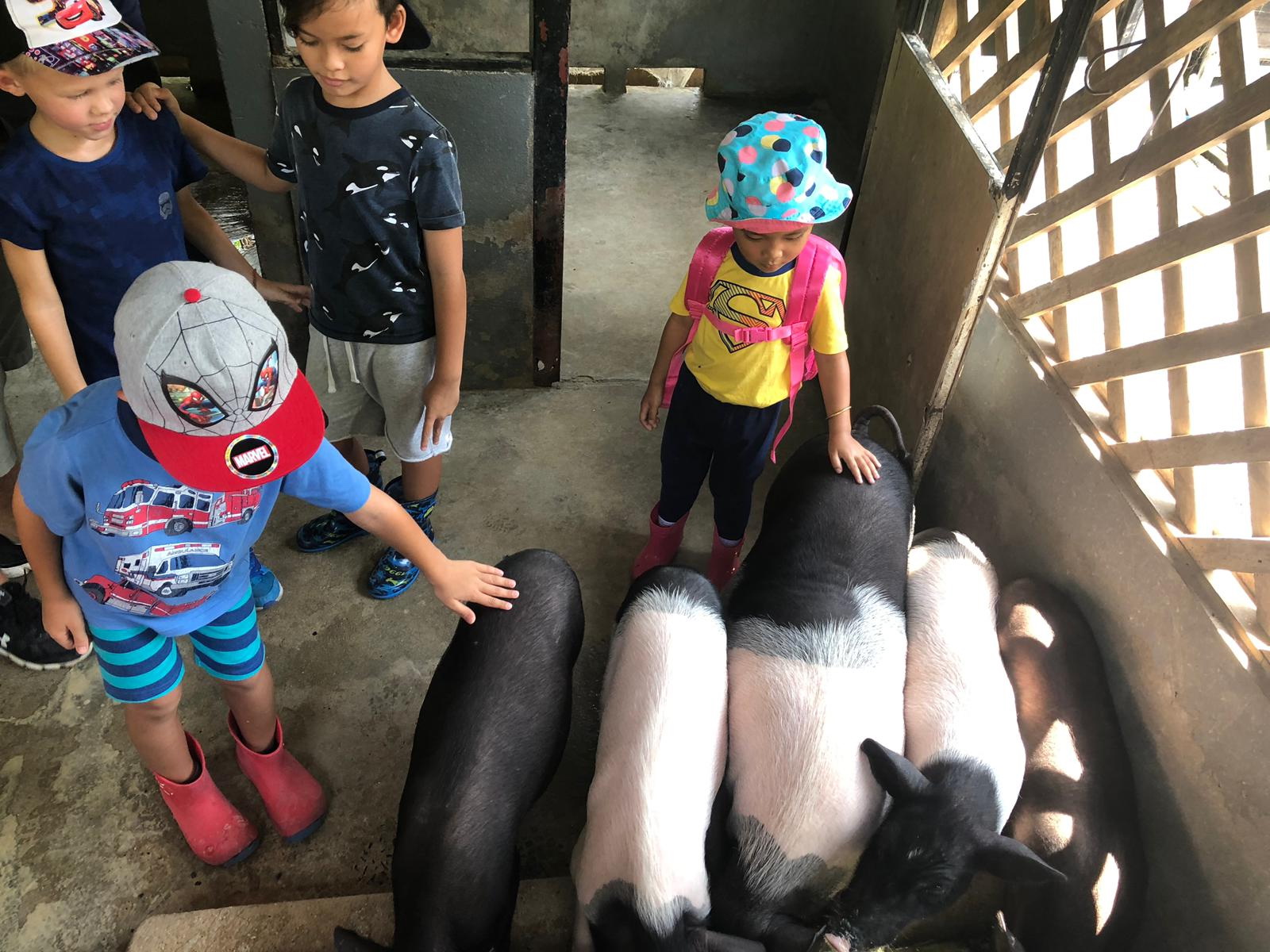 Swedish School Organization in Bangkok makes a day trip to Farm de Lek ...