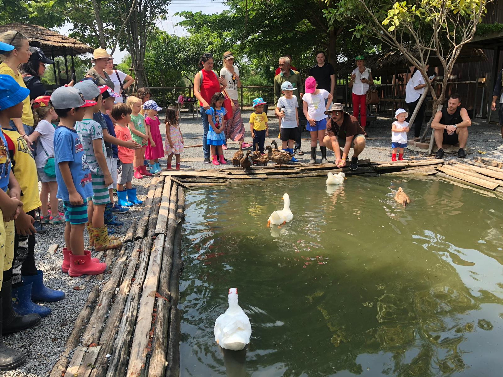 Swedish School Organization in Bangkok makes a day trip to Farm de Lek ...
