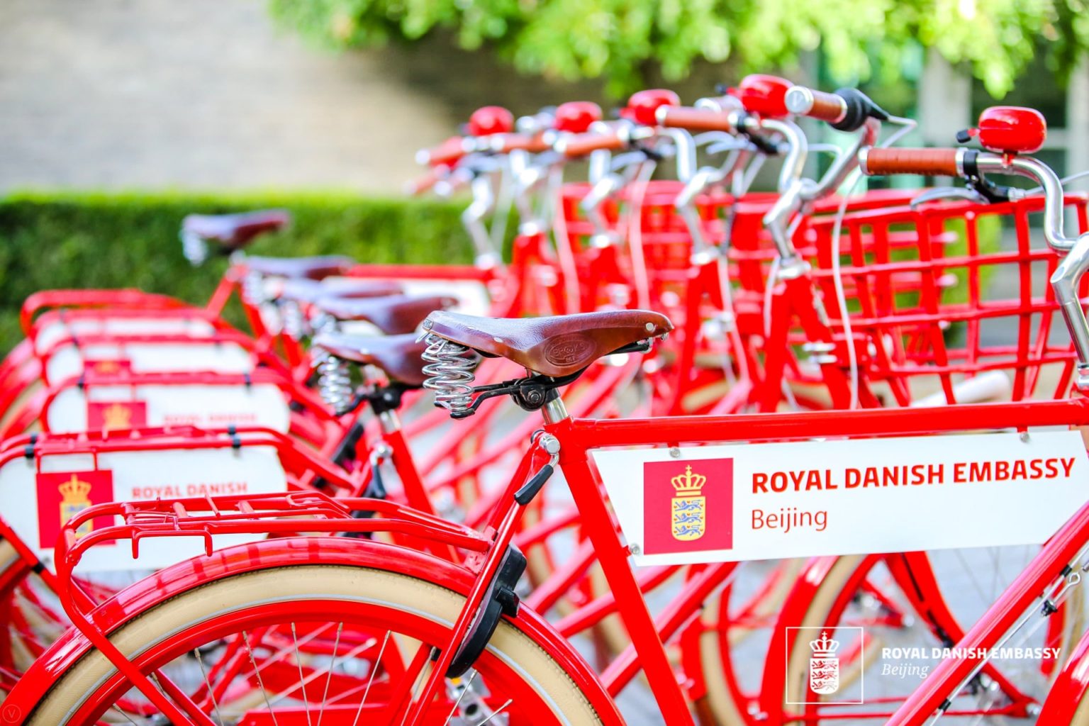 Green Day: Biking with the Danish embassy in Beijing was a success ...