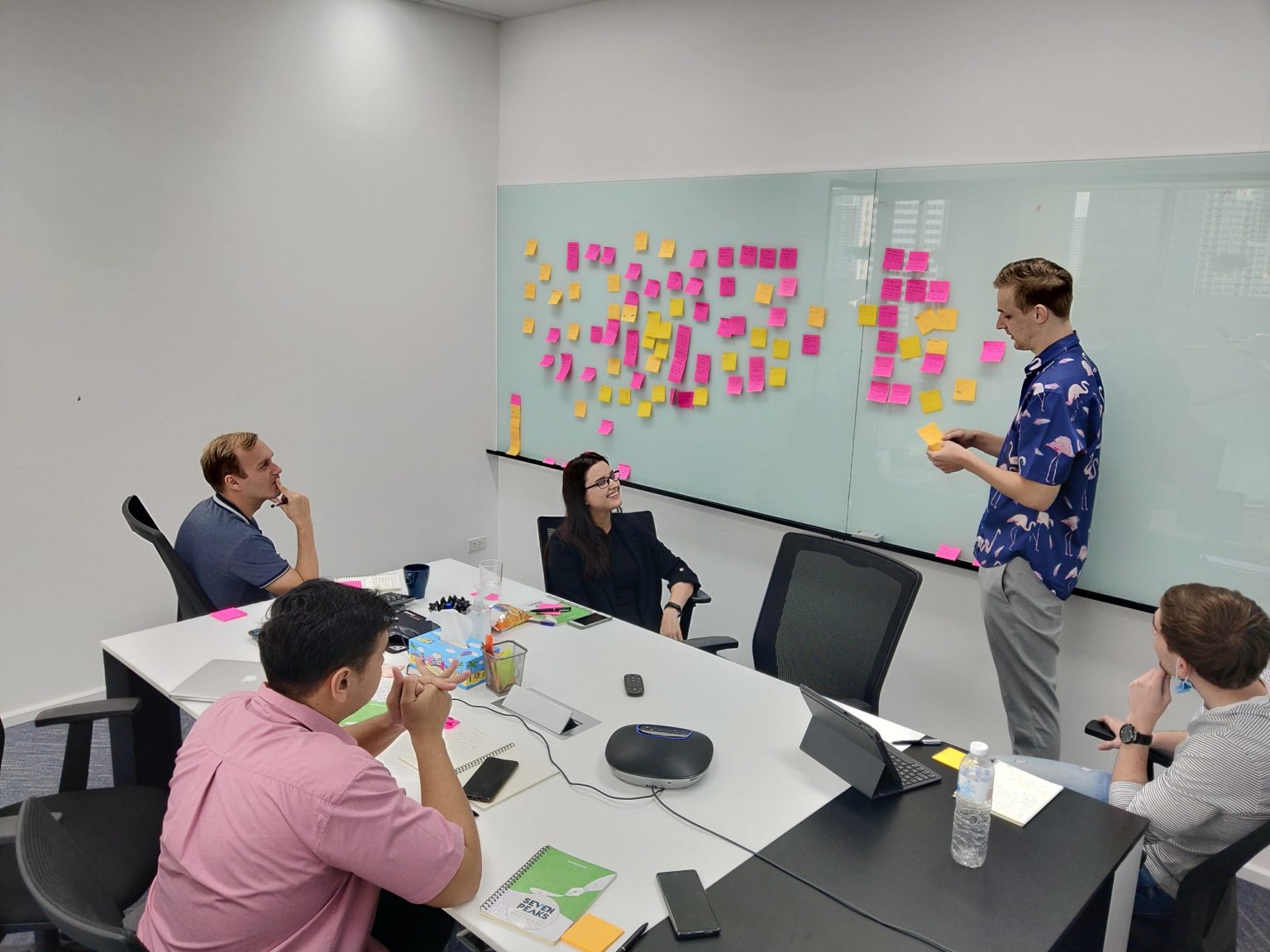 The surprising success of Seven Peaks Software - Scandasia