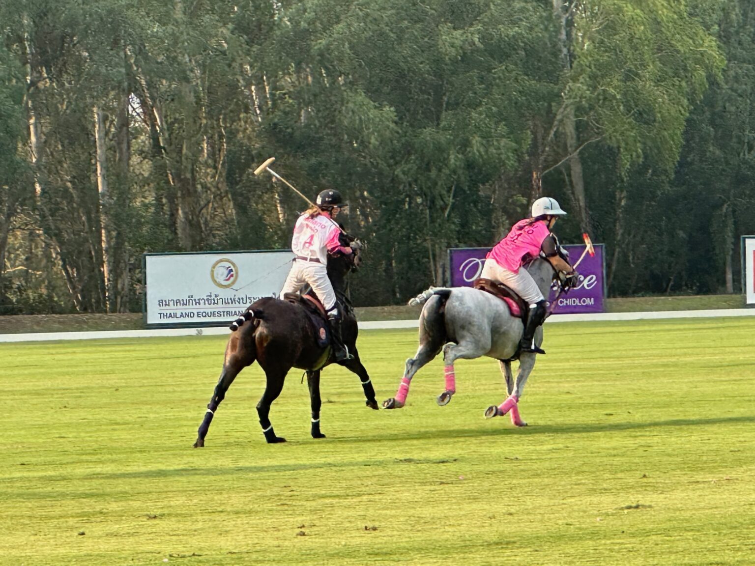 The PINK POLO Day at beautiful Pattaya Polo Club! - Scandasia