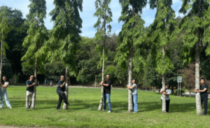 With help from Norway, trees are now part of the power grid in the ...